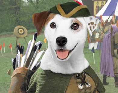 TV WISHBONE COMPLETE SERIES 8 DVD ISO SET 50 EPISODES + SPECIALS VERY ...